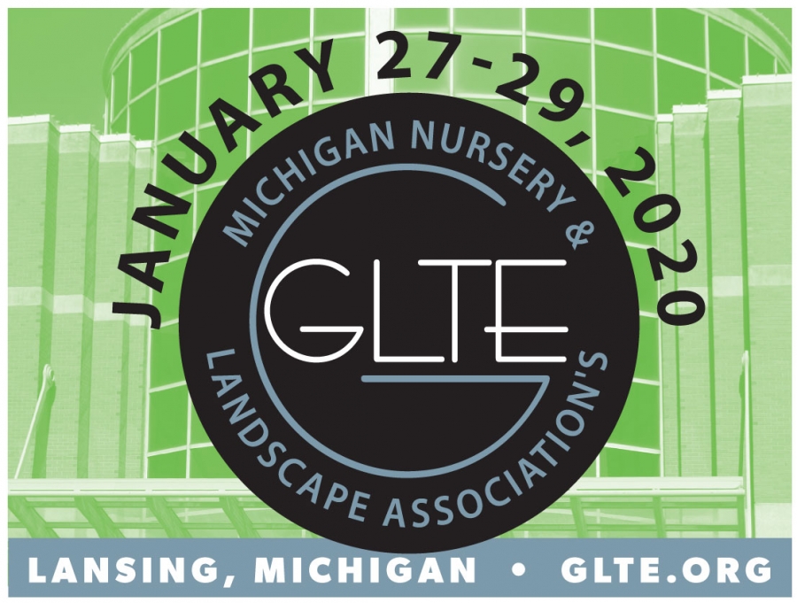 Example Paragraphs | GLTE